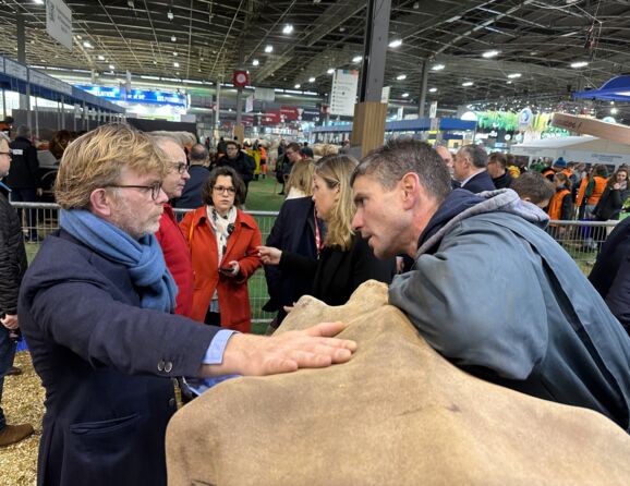 « En bio et dans le rouge, pour mes enfants, pour les Français, pour la ...