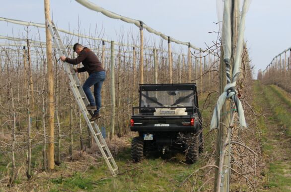 Changement climatique : des adaptations au cas par cas pour l ...