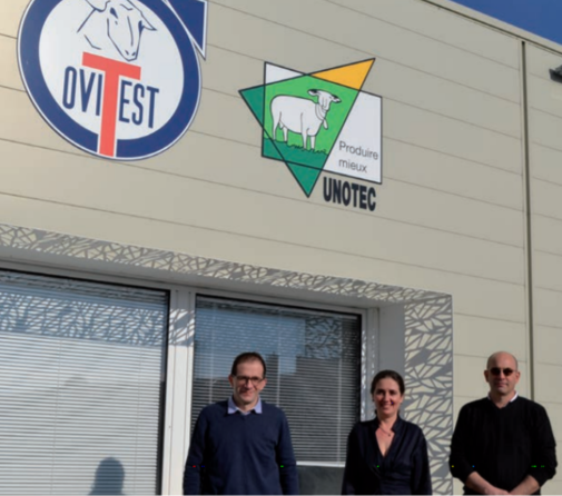 Coopérative Ovi-test : une position de leader en reproduction ovine ...