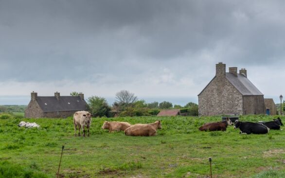 La "Ferme France": un rebond mais un modèle en question - Pleinchamp
