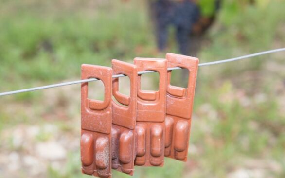 Un distributeur sur trois s’est engagé dans les CEPP - Pleinchamp