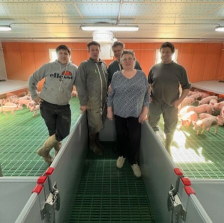 Élevage porcin : un bâtiment dans l’air du temps pour des porcs de ...