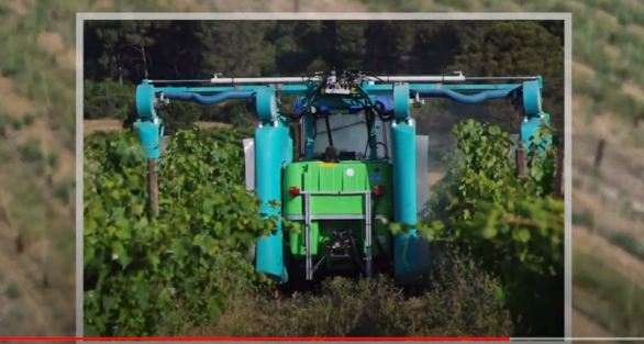 [Vidéo] Qu'est ce qu'une vigne agroécologique ? - Pleinchamp