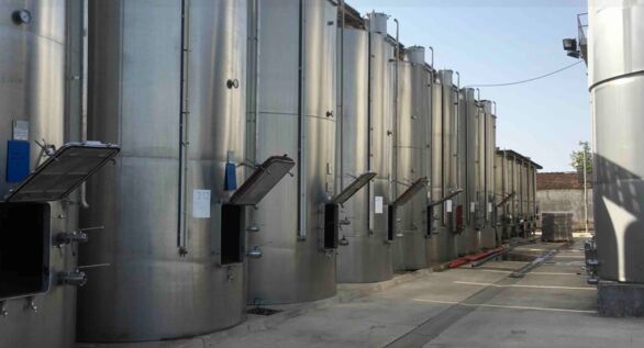 Vers des prix d’orientation pour les vins AB et HVE en vrac - Pleinchamp