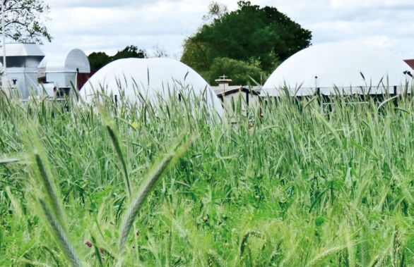 Comment le changement climatique impacte le cycle de production des ...