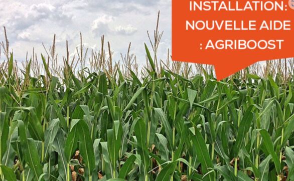 Agriboost : une nouvelle aide régionale pour les futurs installés - Pleinchamp