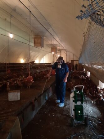 Un diagnostic pour mieux prévenir l’infestation du pou rouge en poules ...