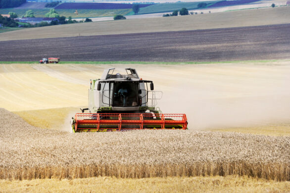 Small asian teen porn she is added to my rotation replacing