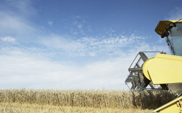 Déduction pour aléas - Un mécanisme pour lisser les revenus - Pleinchamp