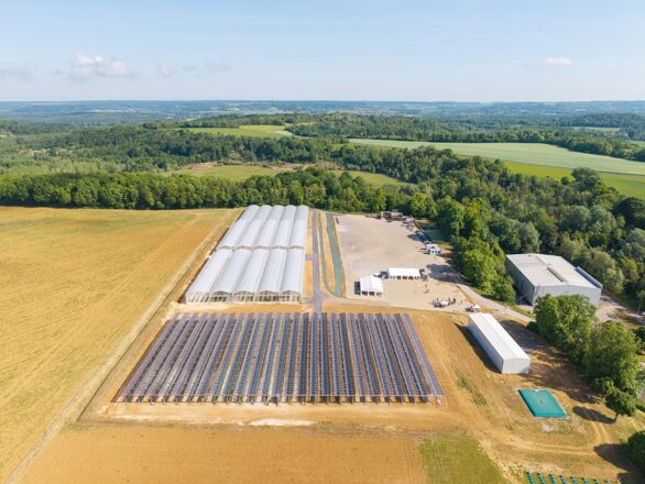 Fruits rouges : dans l'Aisne, un campus d'innovation pour booster la ...