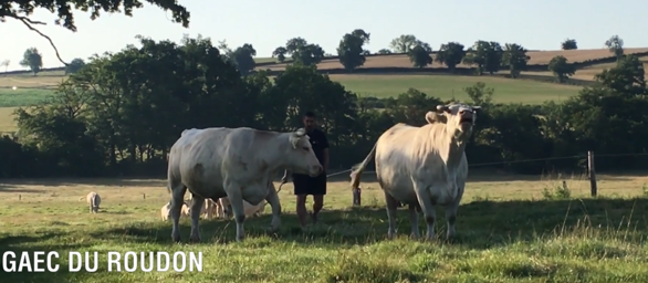 [Témoignage] Au GAEC du Roudon, des fauches précoces et un mélange ...