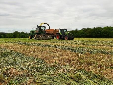 Ensilage de méteil fourrage - Pleinchamp