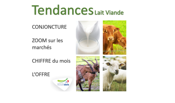 [Vidéo] Pourquoi les prix de la poudre maigre baissent-ils ? - Pleinchamp